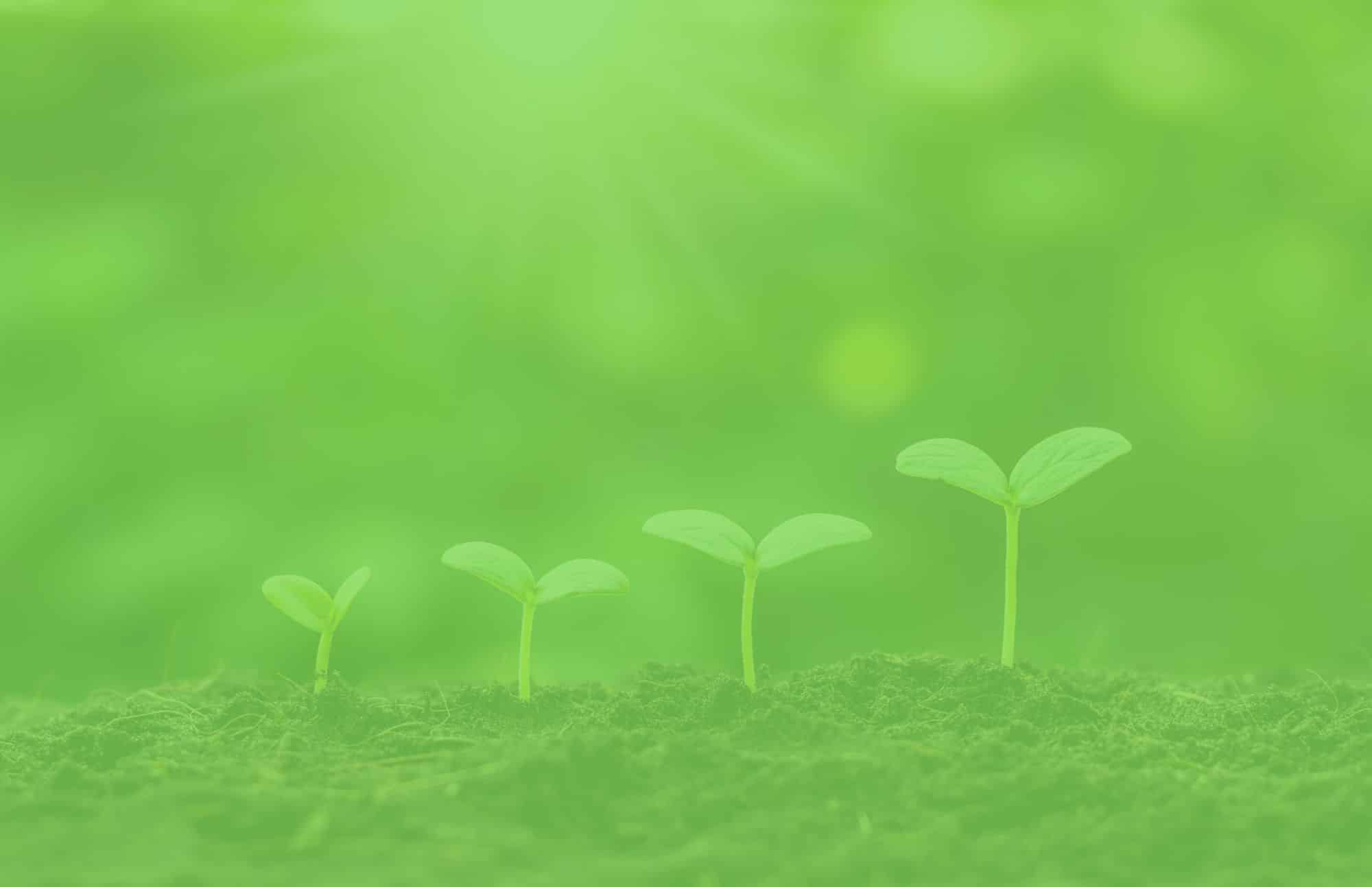 The Recovery Ecosystem - Fletcher Group